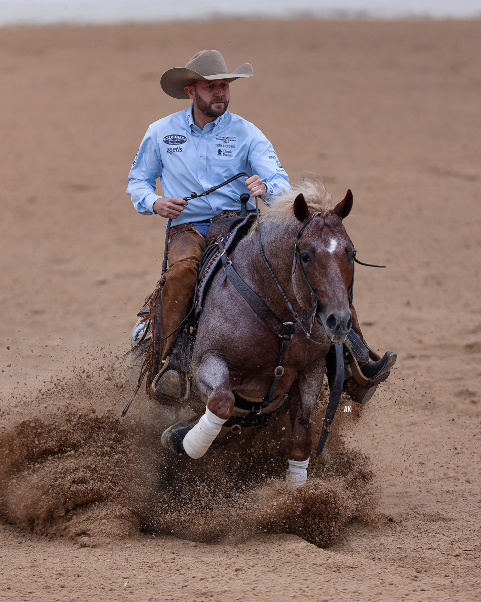 Big Stops, Stellar Spins, Cow Sense: The Reined Cow Horses of The ...