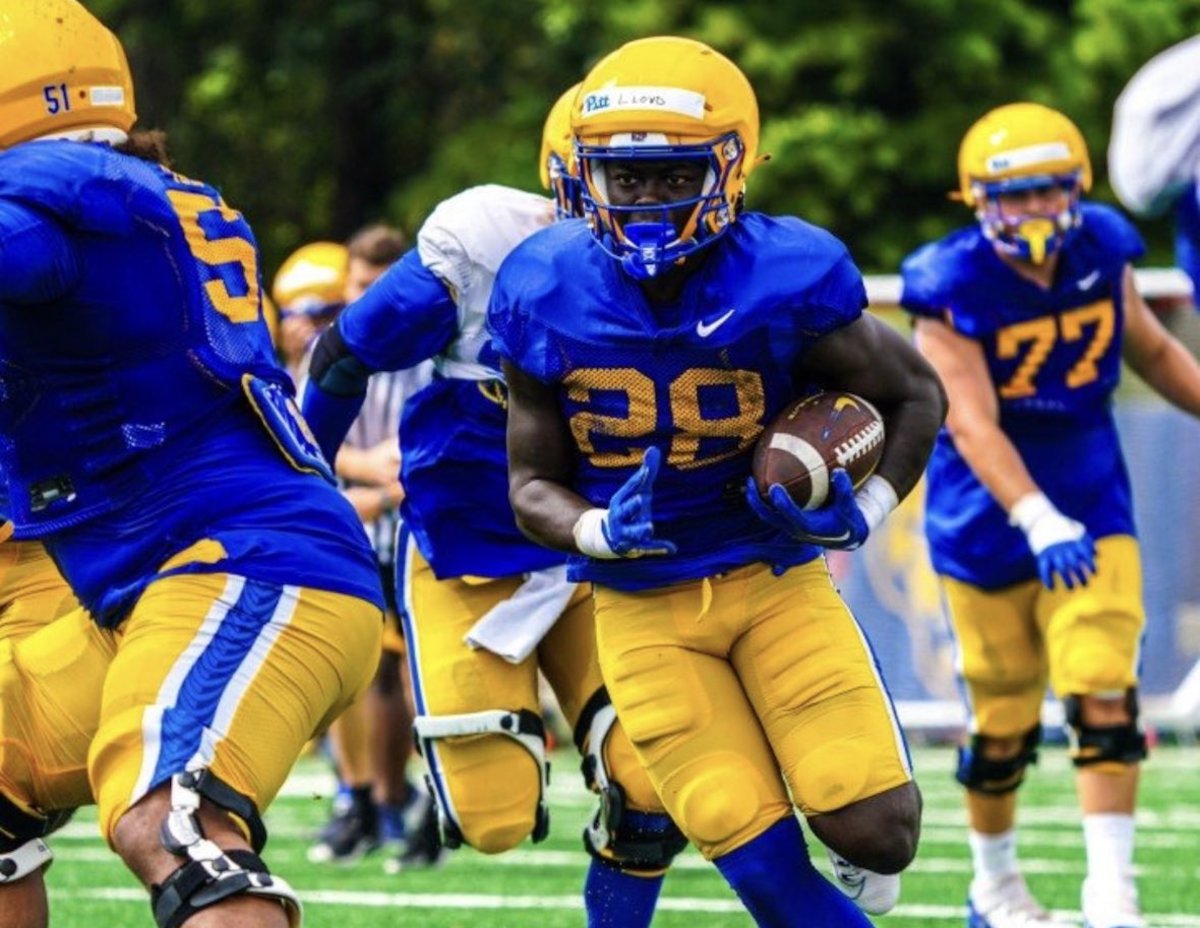 Another Freshman Breaking Out For Pitt Panthers Offense - Sports ...