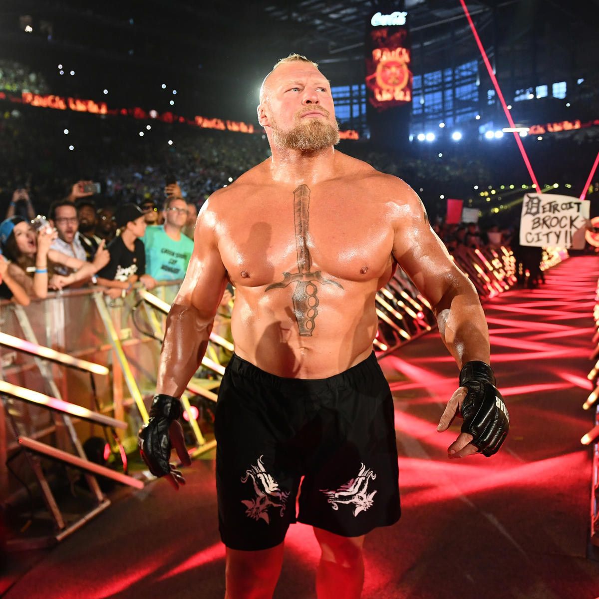 Musculation Brock Lesnar 2024