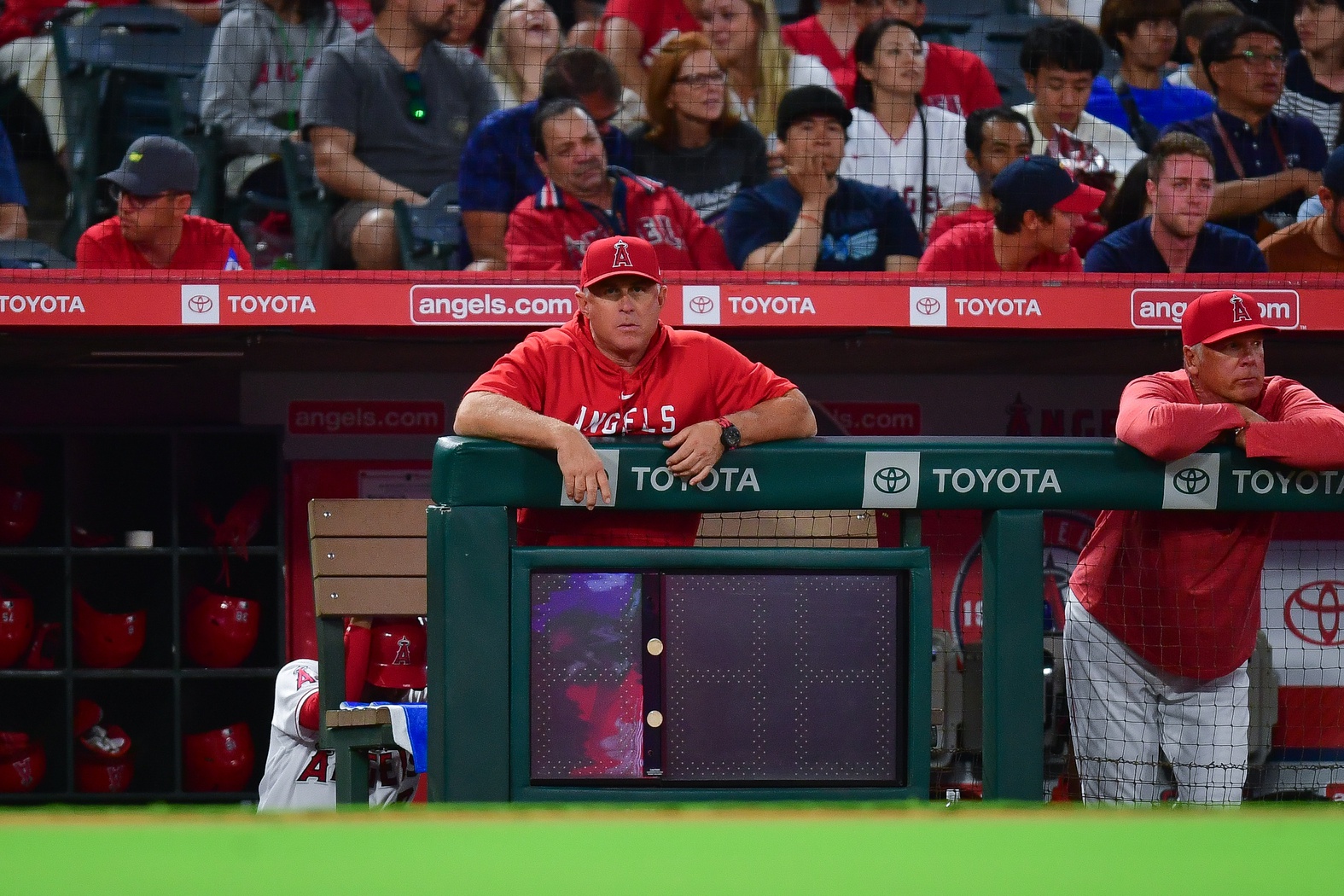 Angels News: Phil Nevin Might Not be the Right Man for the Job After ...