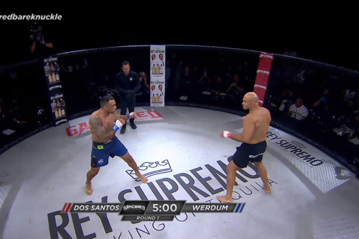 VIDEO: Fabricio Werdum Suffers Gruesome Injury In Loss To Junior dos ...