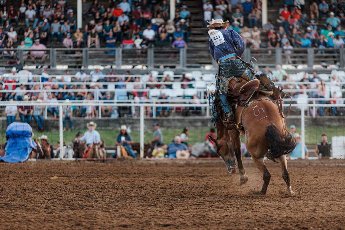 Saddle Bronc Newcomer Ryder Sanford Scores Big Win at Washington State ...