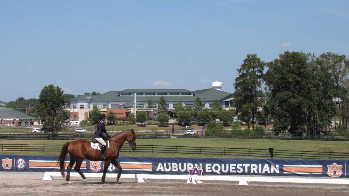 Auburn Equestrian Overpowers Visiting UC Davis 14-4 in Season Opener ...