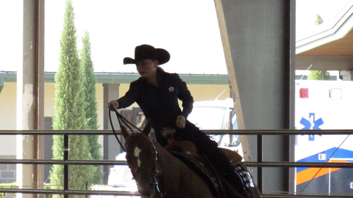 Auburn Equestrian Overpowers Visiting UC Davis 14-4 in Season Opener ...