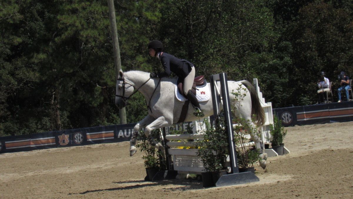Auburn Equestrian Overpowers Visiting UC Davis 14-4 in Season Opener ...