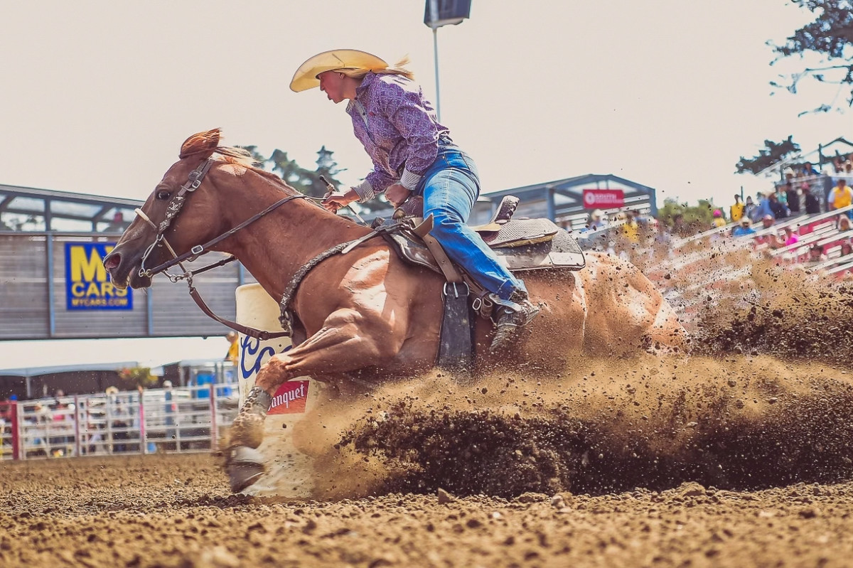 WPRA Barrel Horse of the Year - Sports Illustrated Rodeo Daily News ...