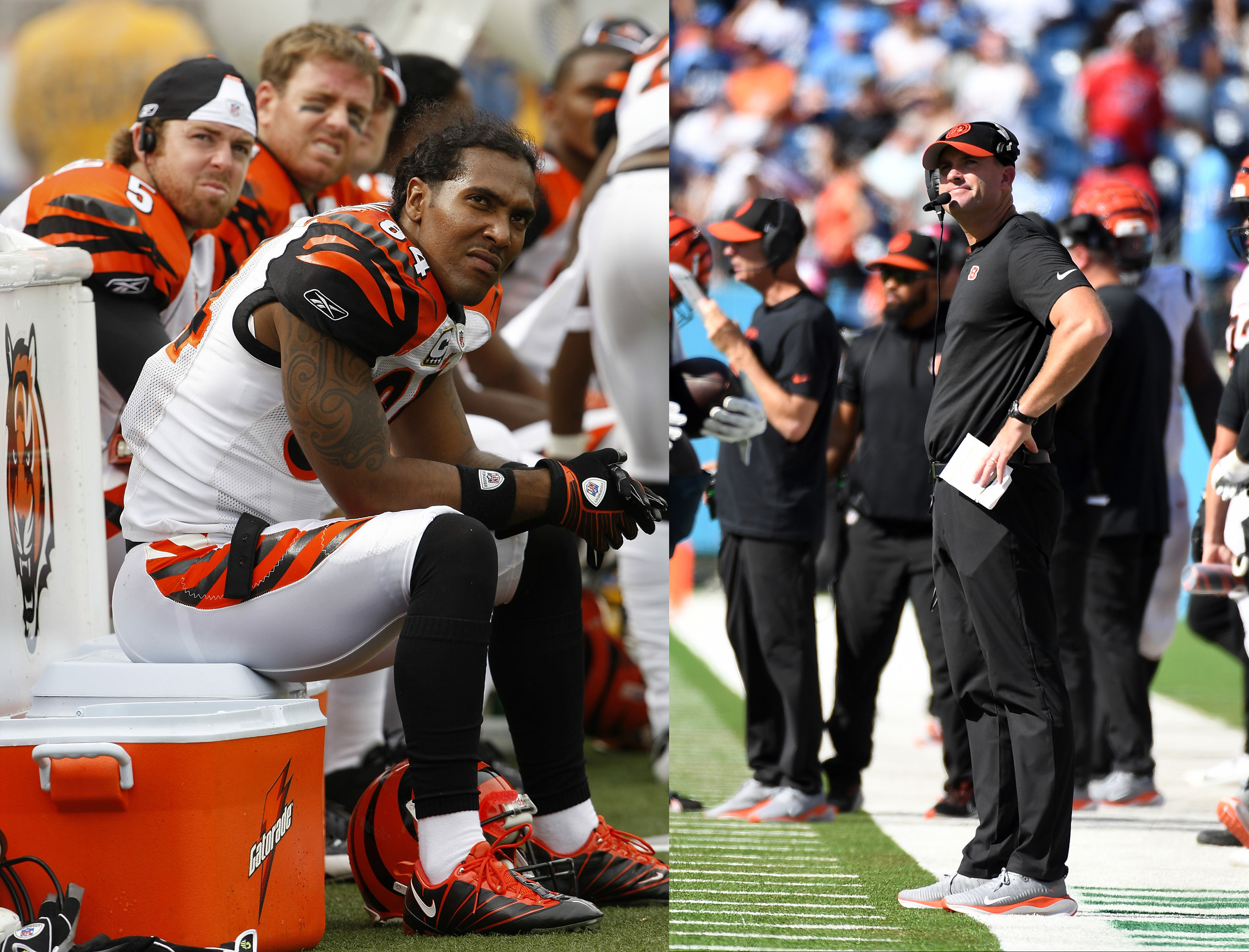 Former Cincinnati Bengals Wide Receiver T.J. Houshmandzadeh: 'If Heads ...