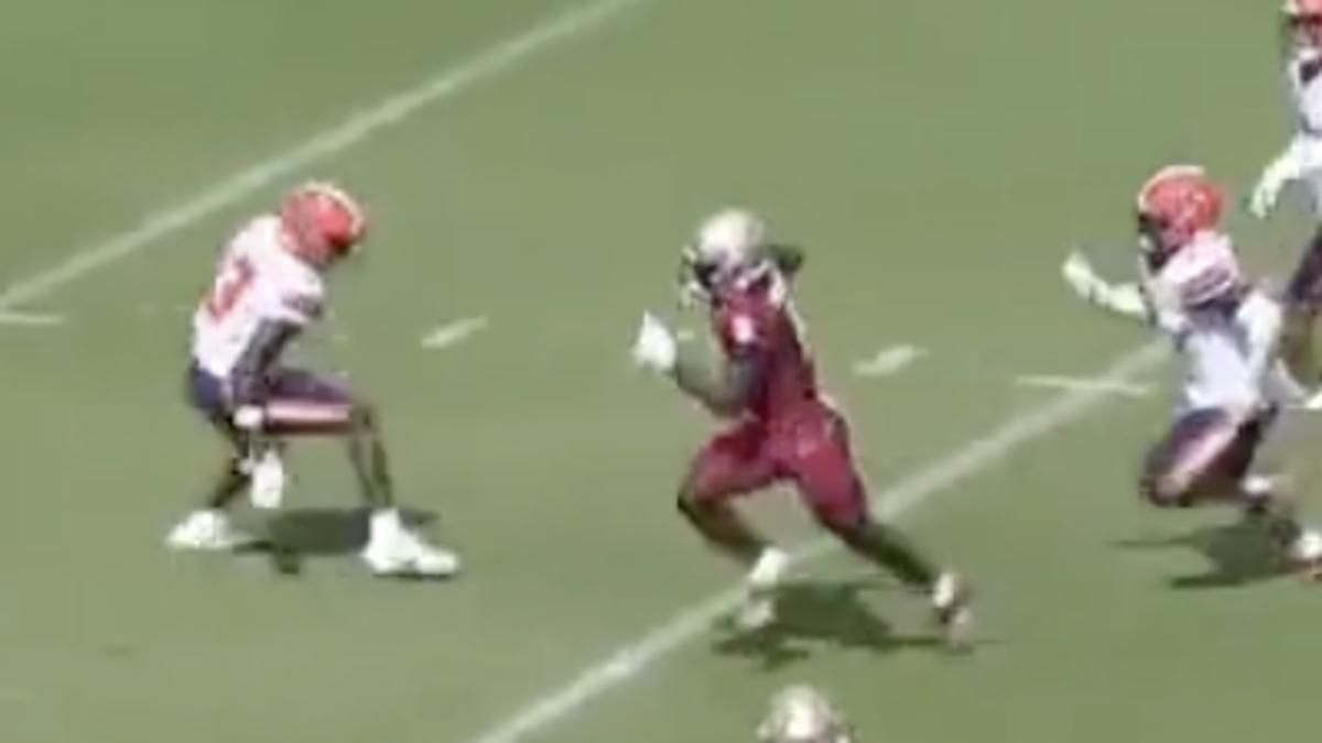 WATCH: Hykeem Williams Scores His First Touchdown In Garnet & Gold ...
