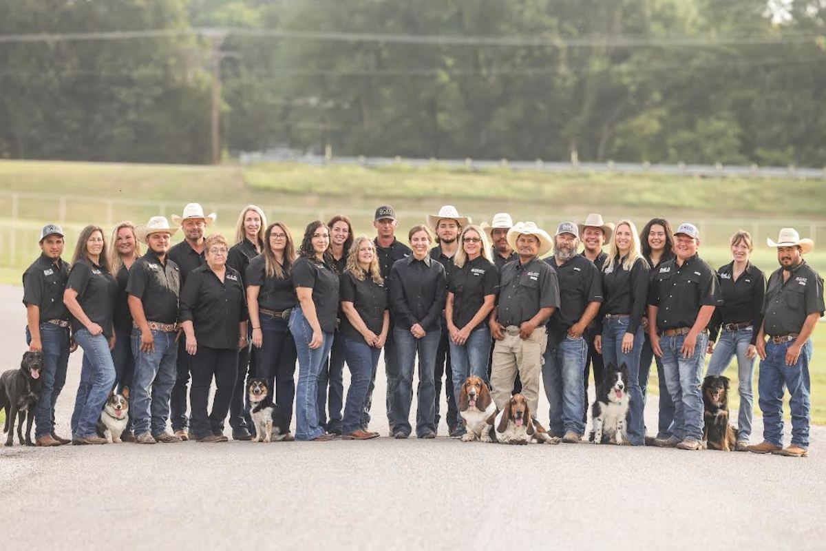 How Solo Select Horses Came To Be - Sports Illustrated Rodeo Daily News ...