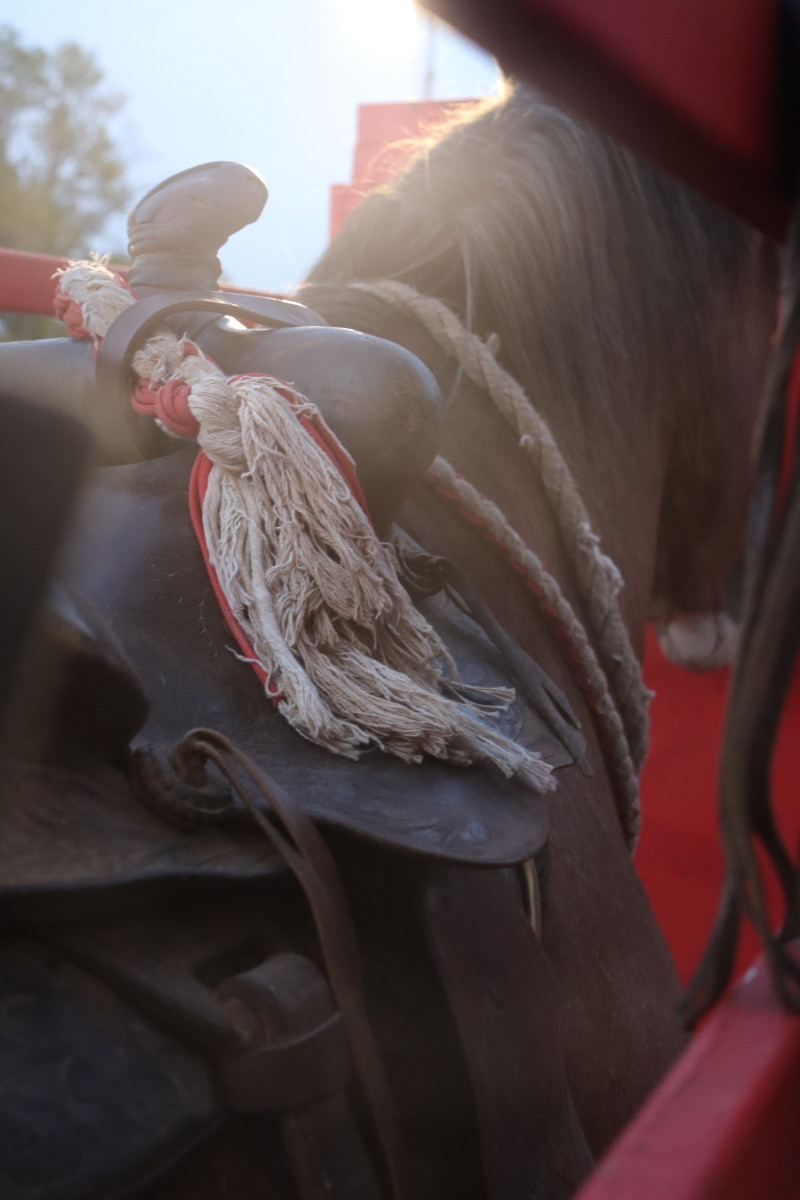 Bucking Bulls and Bronc Stock Contractors Rally Around Rodeo Hand ...