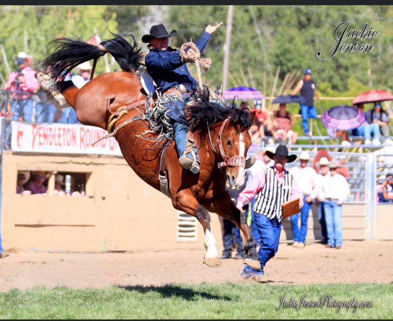 Monday Morning Mash: Your Weekly Update of Pro Rodeo Winners - Sports ...