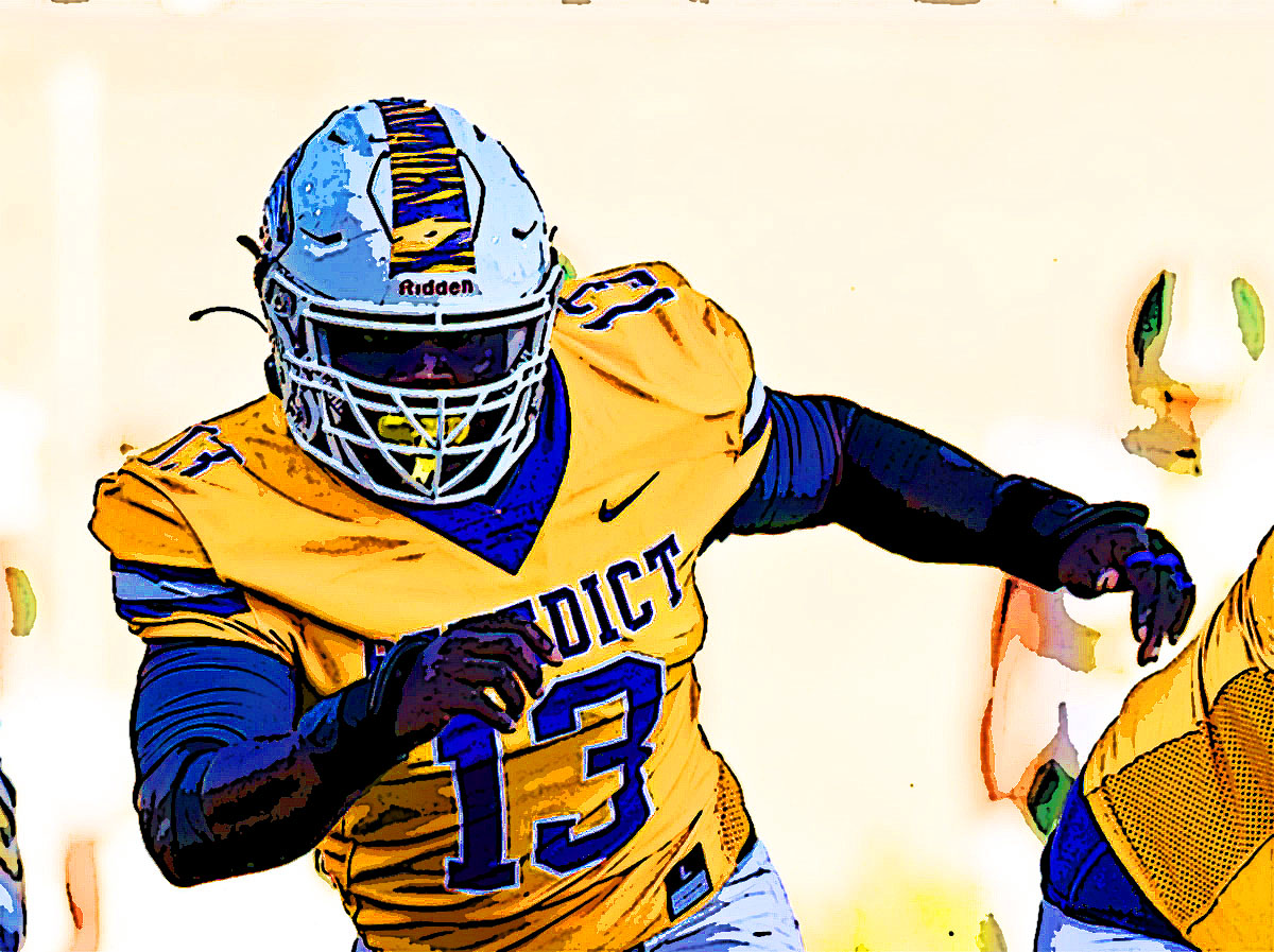 Benedict Tigers, Lenoir-Rhyne Bears Preview NCAA Division II Playoff ...