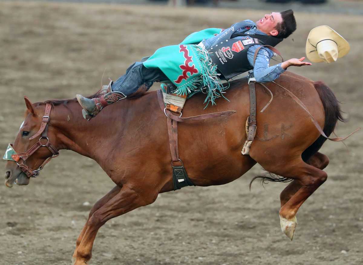 10 Days to the NFR: Bareback Rider No. 10 Jess Pope - Sports ...