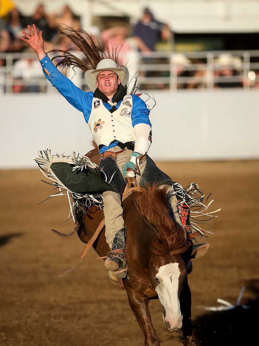 9 Days to the NFR: Bareback Rider No. 9 Jayco Roper - Sports ...