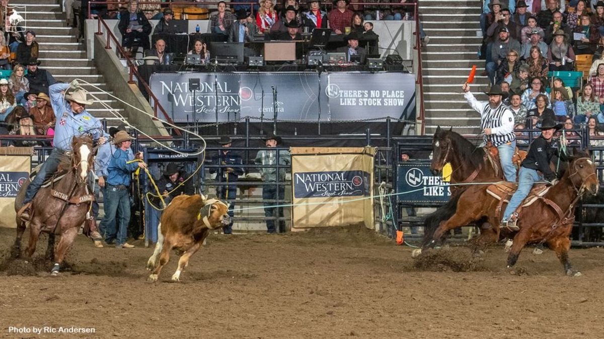National Western Stock Show and Rodeo Preview - Sports Illustrated ...