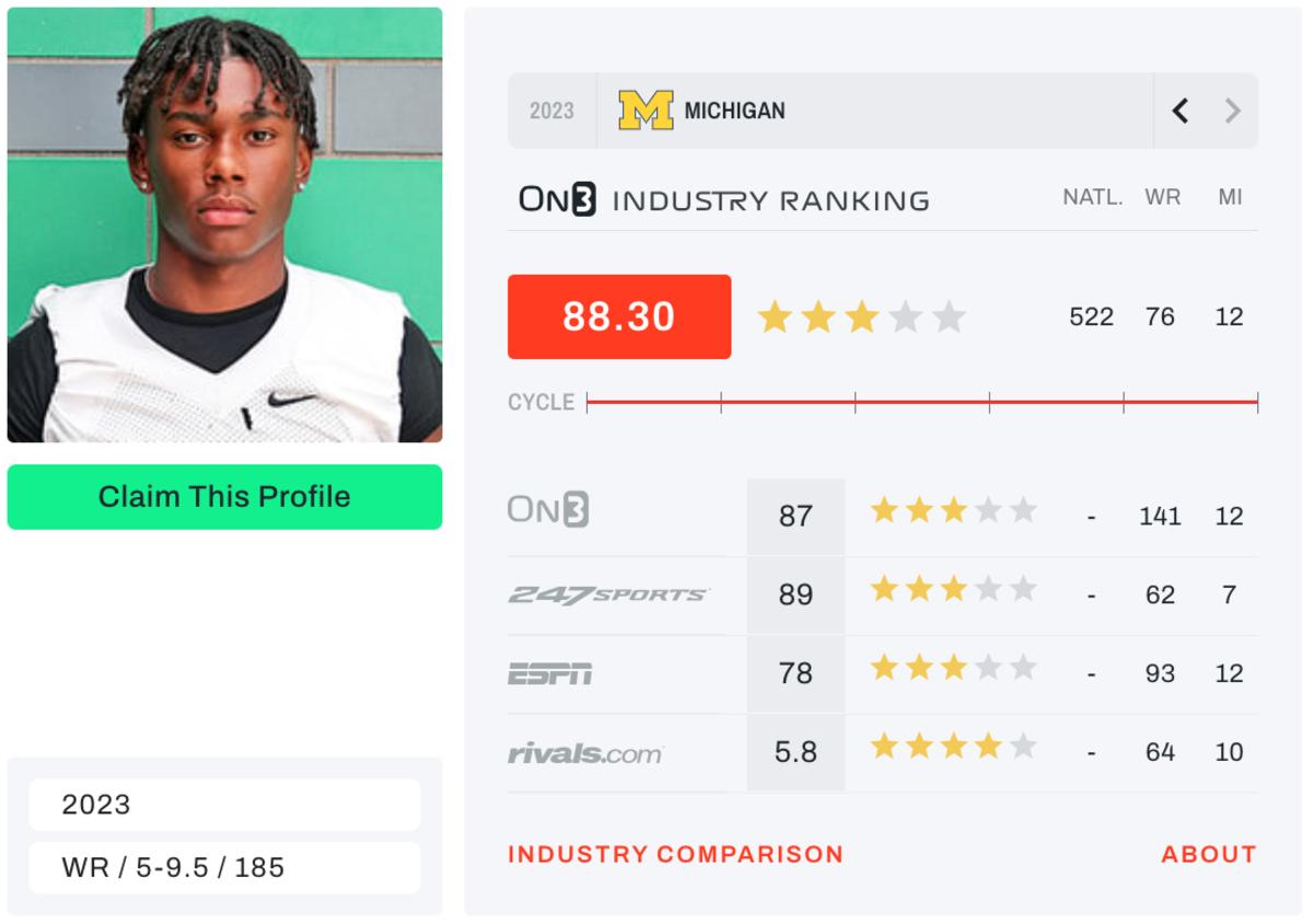 Diamonds In The Rough Crucial To Michigan's Success - Sports ...