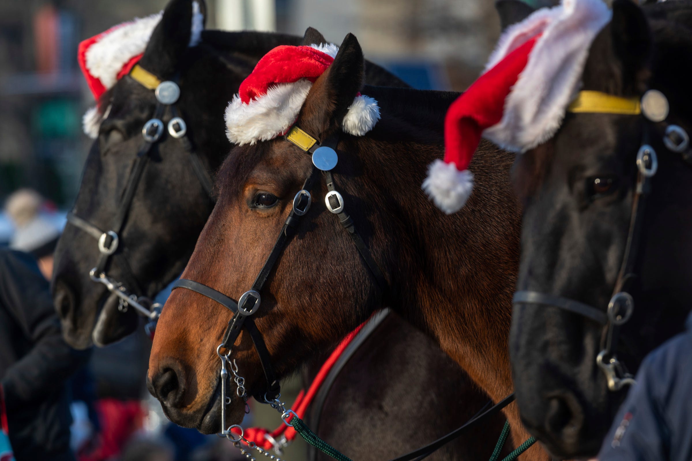 How a Cowboy Saved Christmas - Sports Illustrated Rodeo Daily News ...