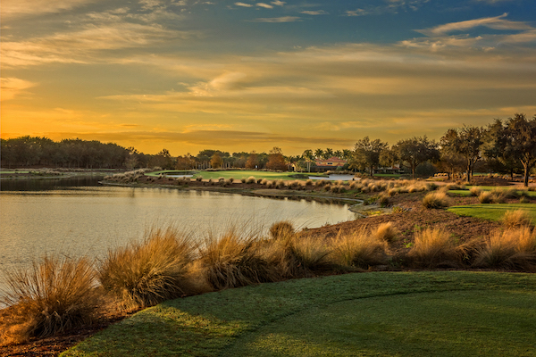 Golf Course Review: Tiburón Golf Club [Gold Course] | 8.2 Score ...