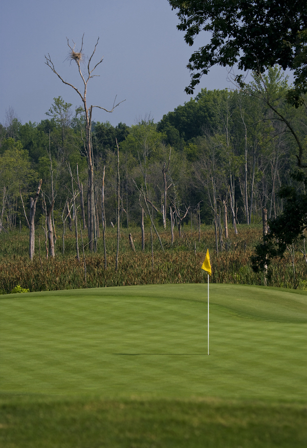 Golf Course Review: Rocky River Golf Club | 8.5 Score - Sports Illustrated