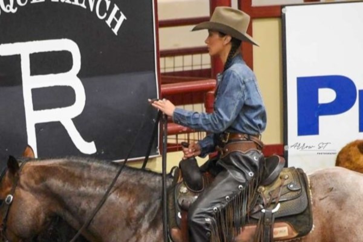 Super Model Bella Hadid Steals Spotlight at NCHA Cutting Horse Show ...