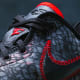 FaZe Clan x Nike LeBron Collection - Esports Illustrated