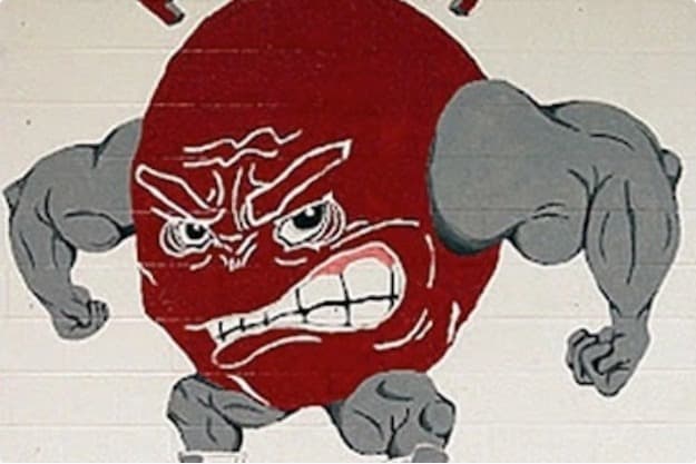 Best high school mascot in West Virginia: Top 5 candidates - Sports ...