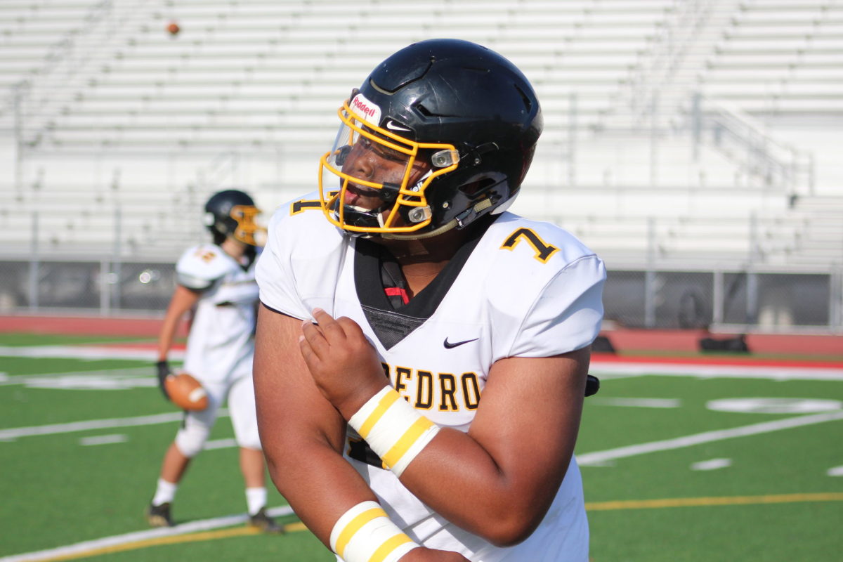 SBLive's 2021 All-LA City Section high school football team - Sports ...