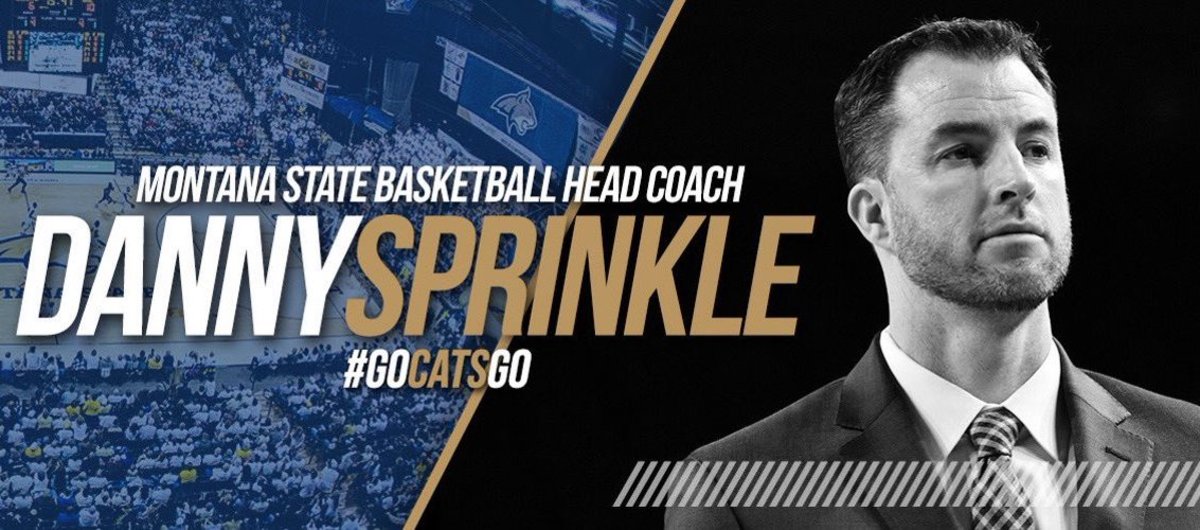 Montana State's Danny Sprinkle talks career path, coaching mentorship ...