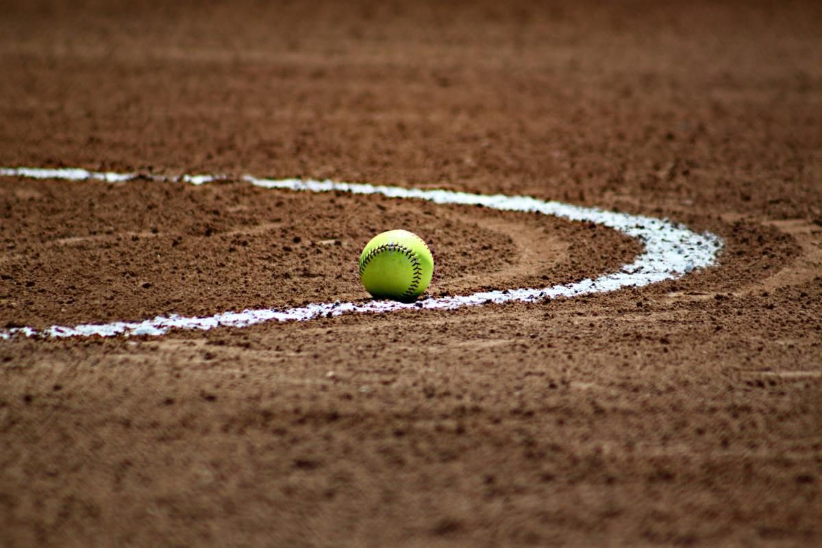 Vote now: who was the top performer at the MHSAA softball tournament ...