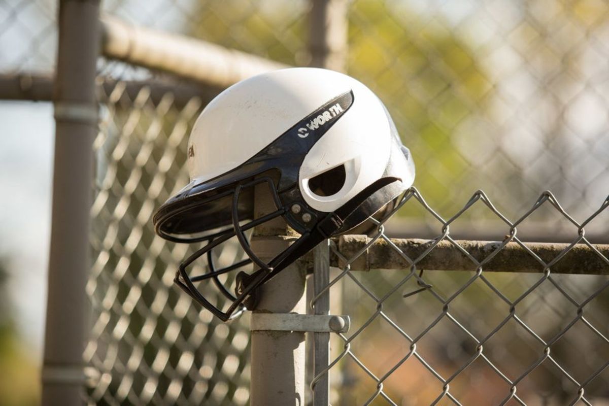 Michigan’s top high school softball players: Meet the state’s best ...