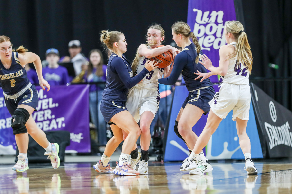 Rylie Edlefsen leads Snake River to Idaho 3A girls basketball state ...