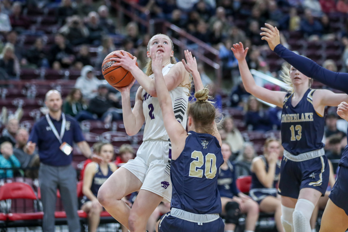 Rylie Edlefsen leads Snake River to Idaho 3A girls basketball state ...