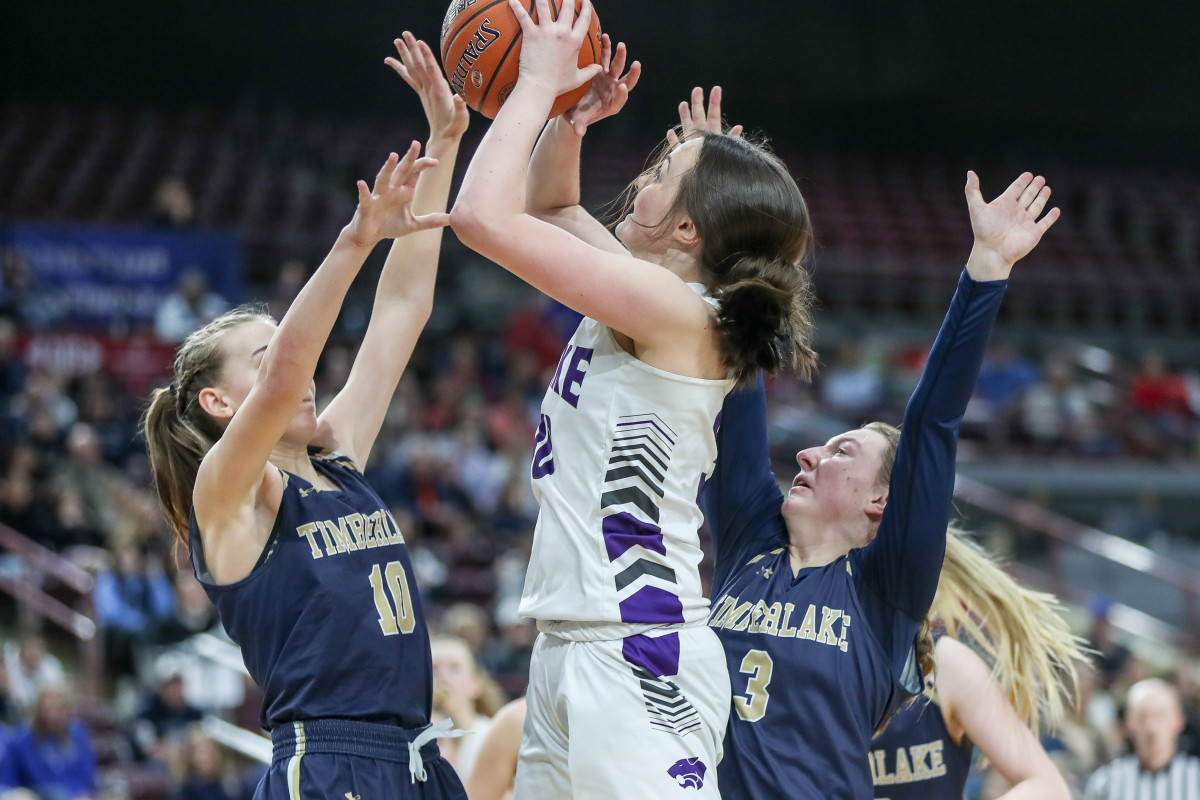 Rylie Edlefsen leads Snake River to Idaho 3A girls basketball state ...