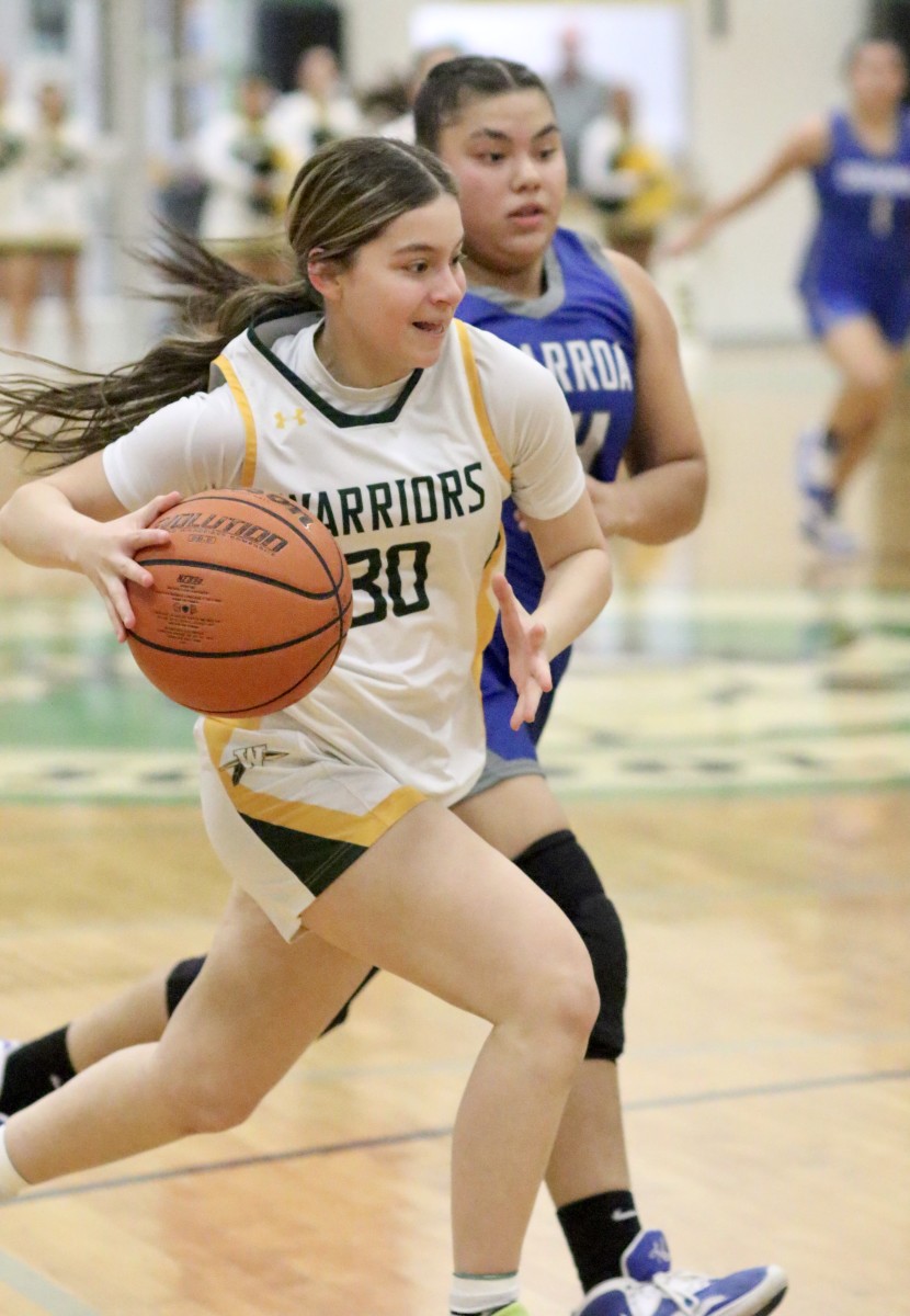 Dominance down low leads McAllen Rowe past Laredo Cigarroa in 5A Texas ...