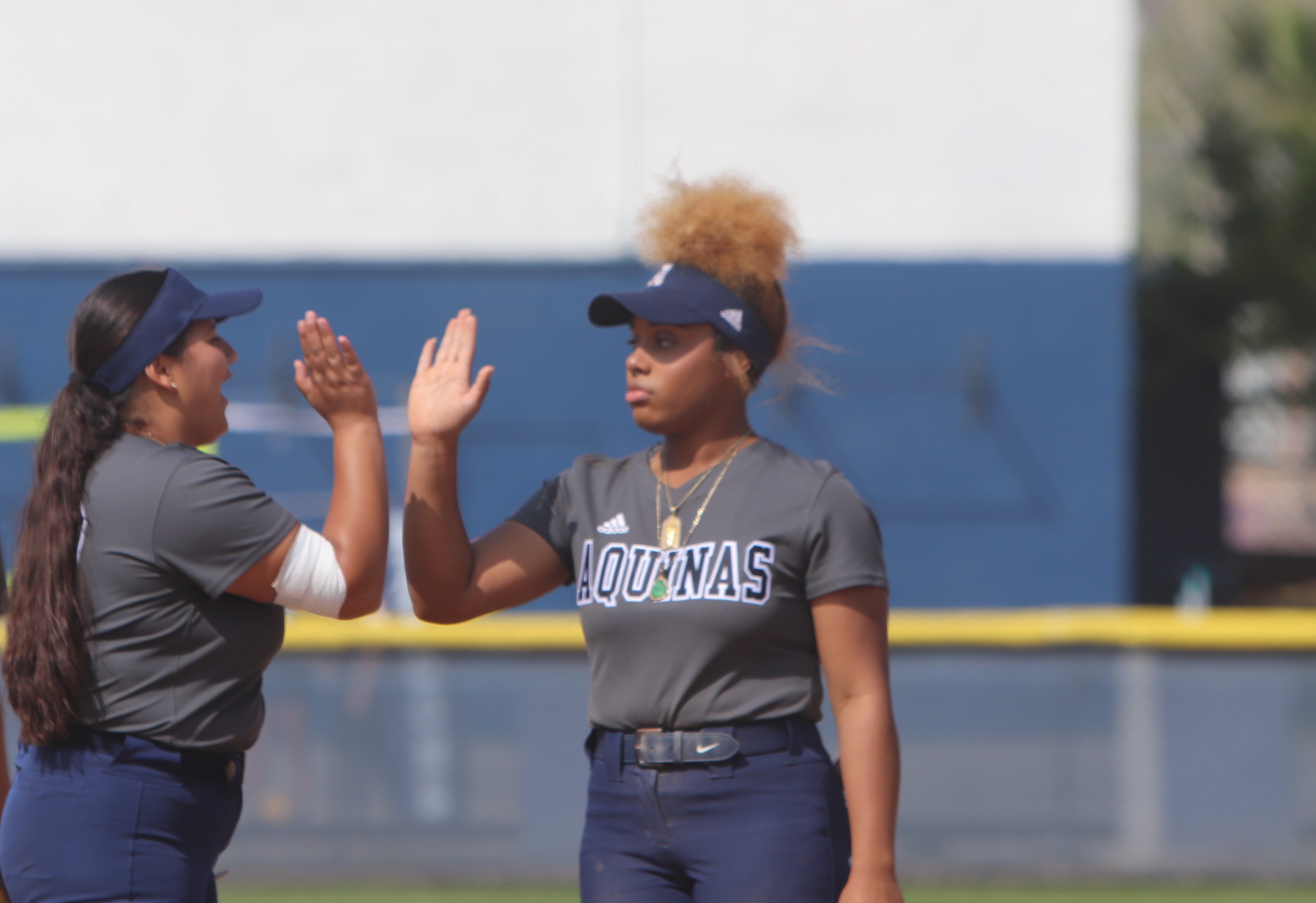 Michigan State-bound softball star Jaeya Butler slugs with power, style ...
