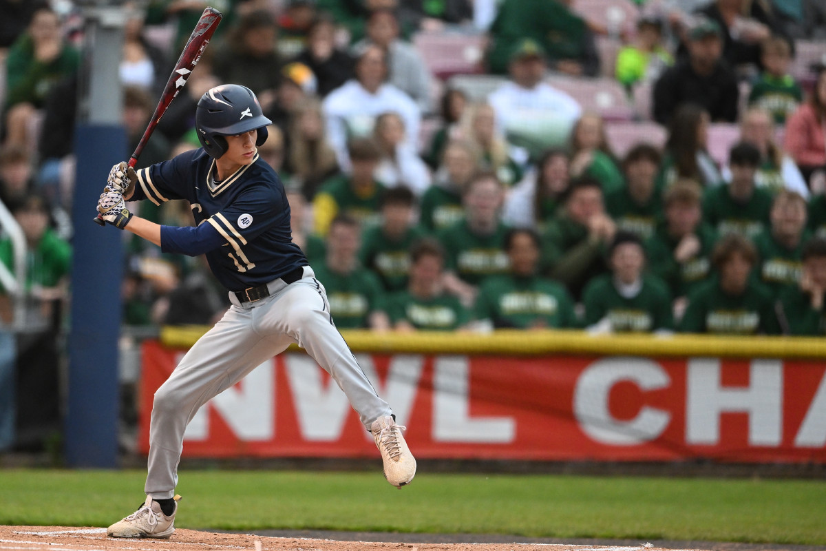 ‘For all the alumni that have come before us.’ Lions past and present ...