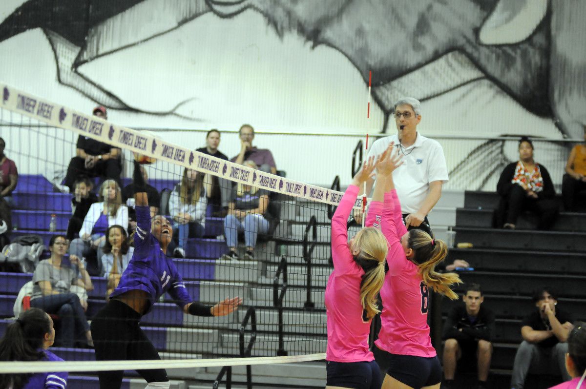 Jayda Redd's 16 kills carry Timber Creek volleyball to victory - Sports ...