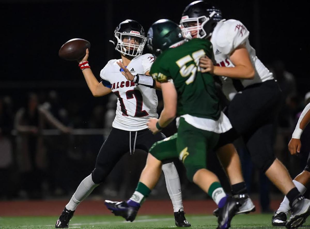 Photos: Amari Goodfellow, Auburn keep 3A NPSL title hopes alive with ...