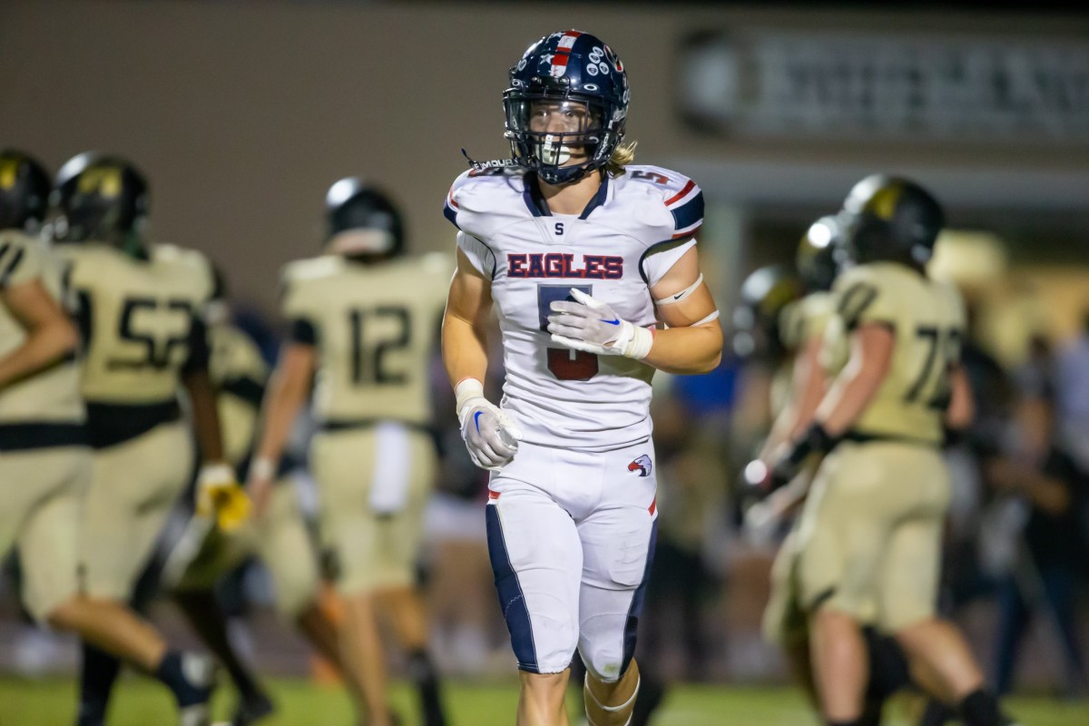 Photo gallery: Mitchell Mustangs get by Springstead Eagles in defensive ...