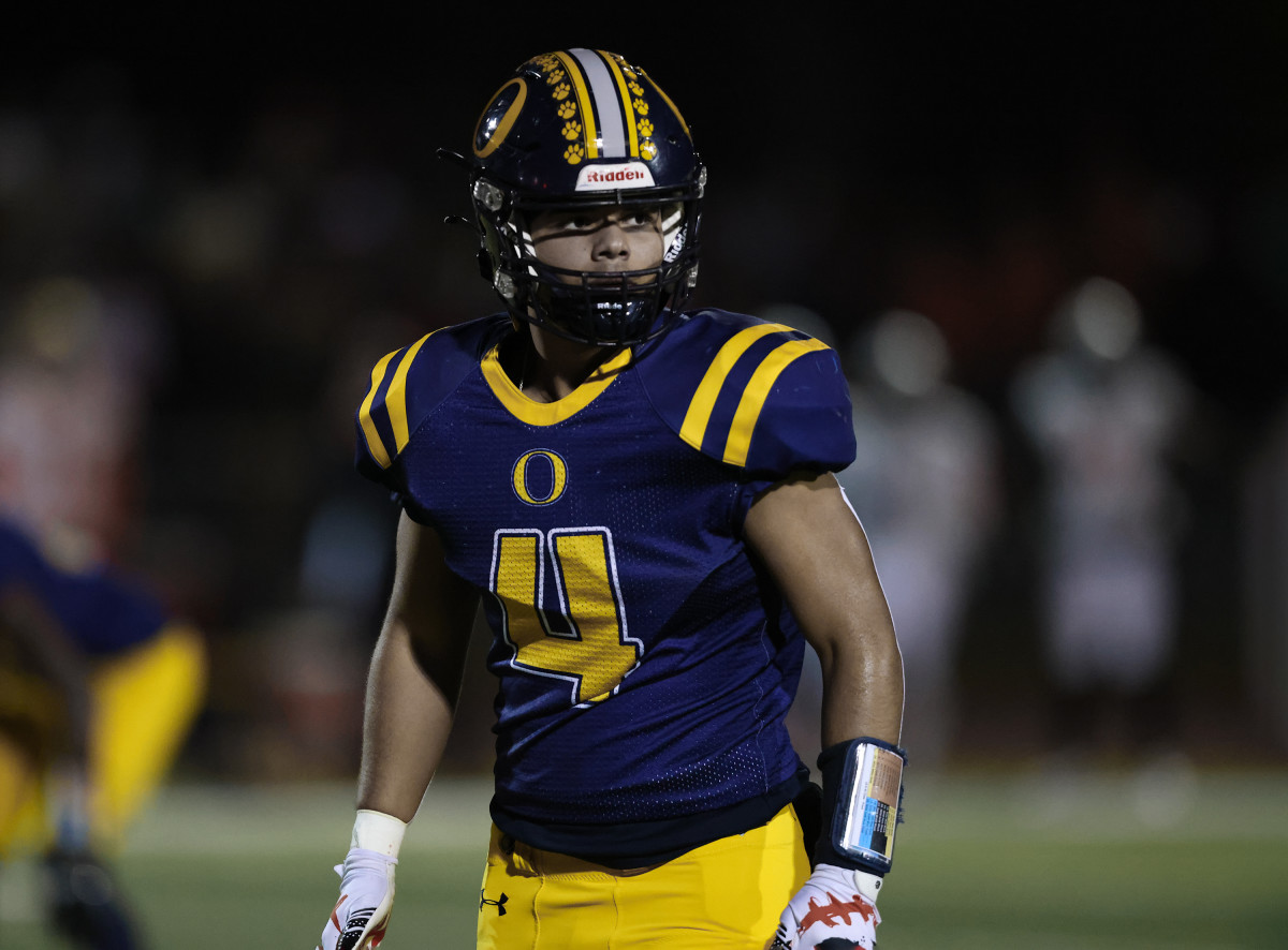 Photos: Edwardsville wins rematch with O'Fallon in Illinois Class 8A ...