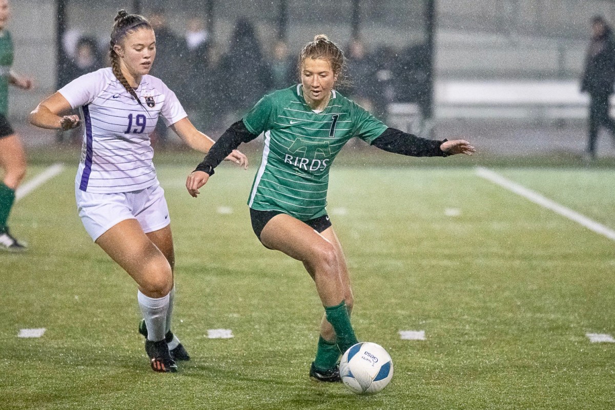 Washington high school girls soccer: Check out these 20 standouts in ...