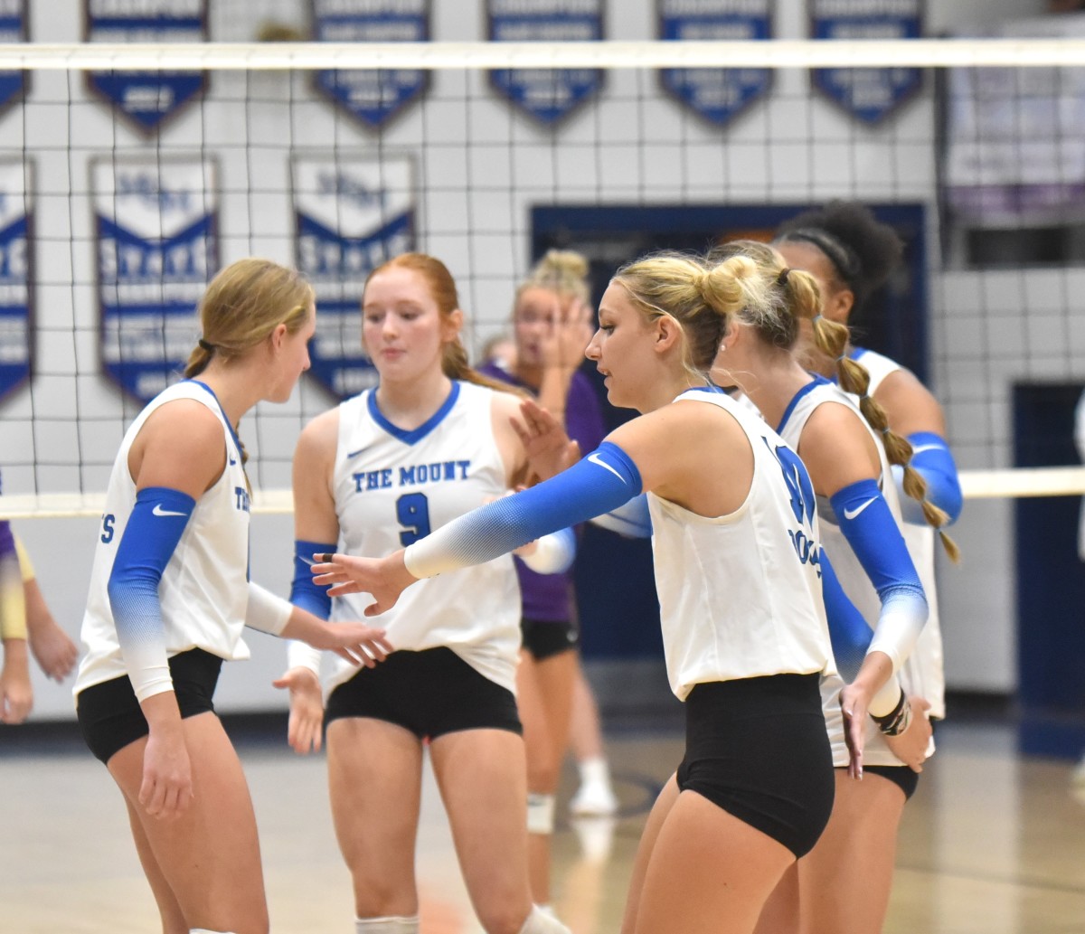 Mount Saint Mary's volleyball senior Ally Fees relishes challenge of ...