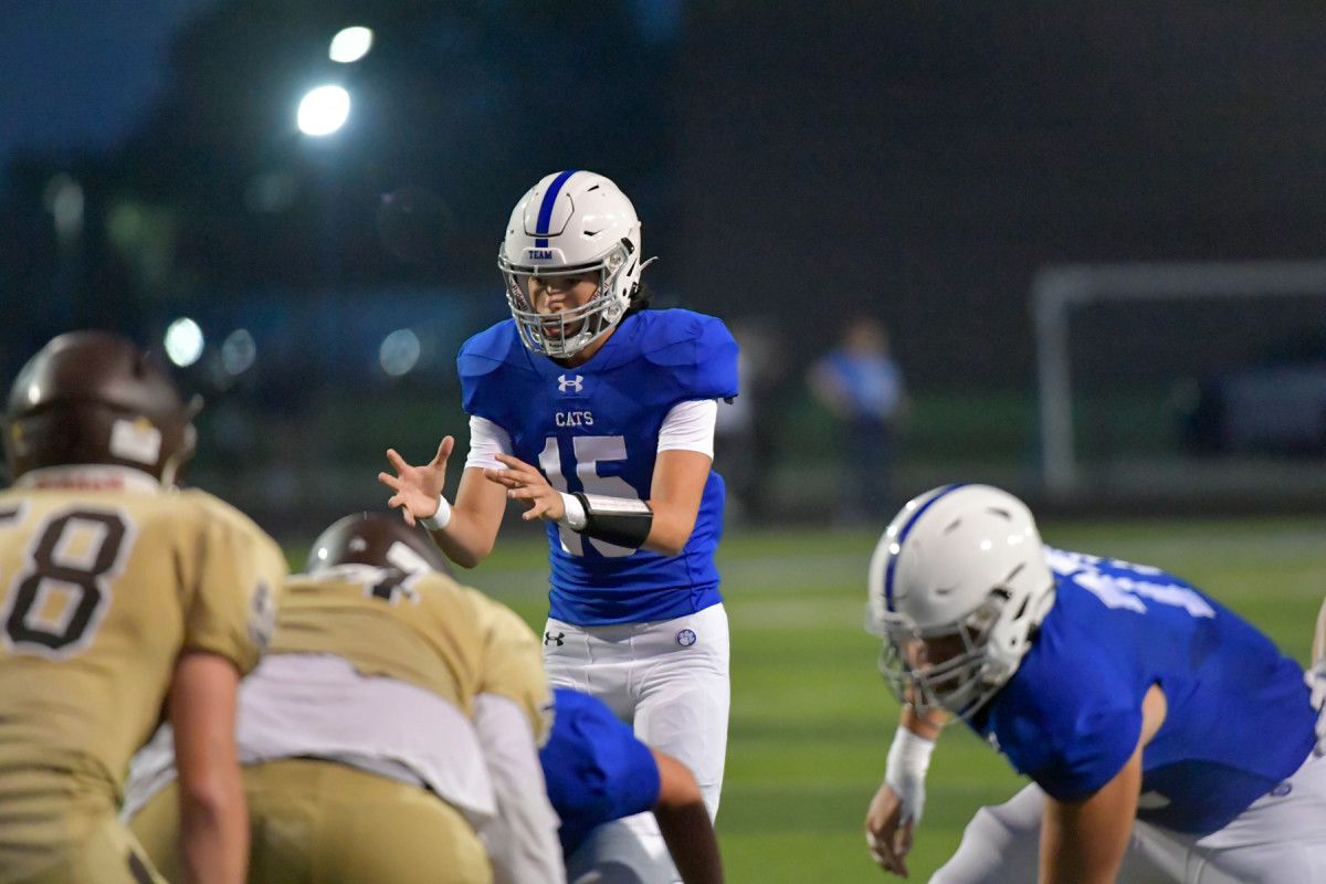 Hilliard Davidson's Johnny and Josh DiBlasio form stronger brotherly ...