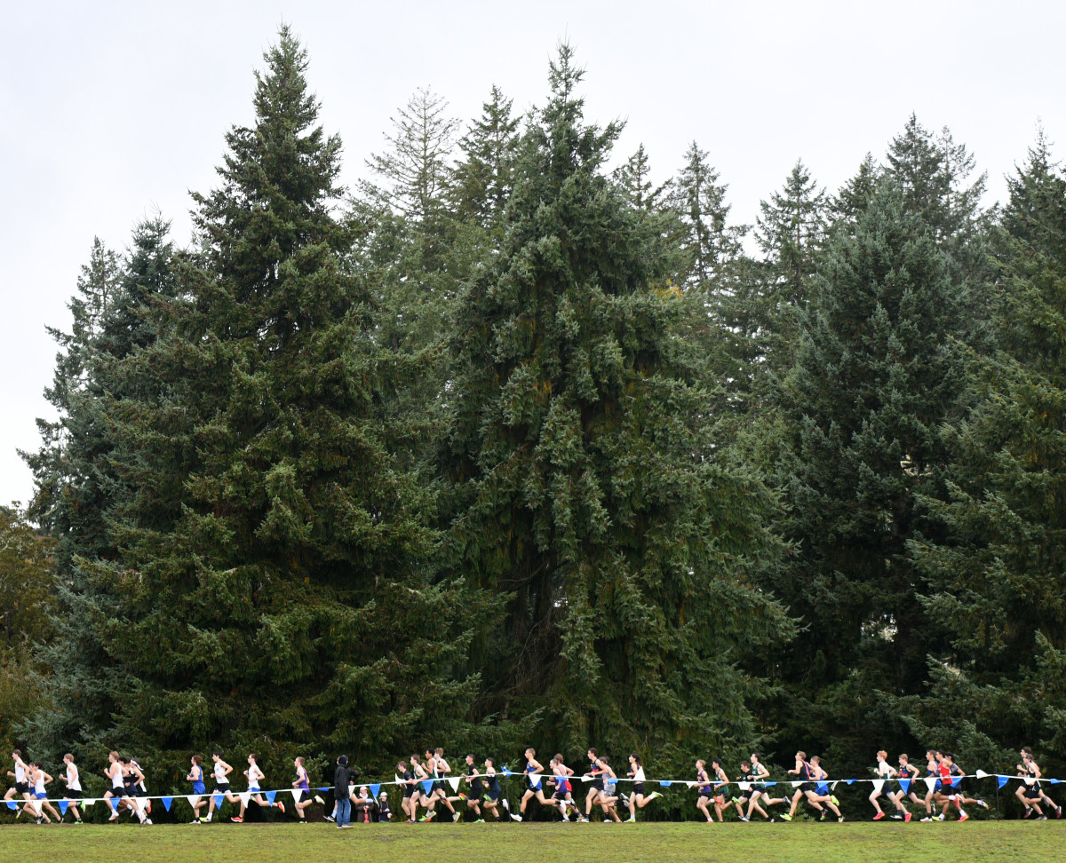 Best photos from 2023 Oregon cross country championships - Sports ...
