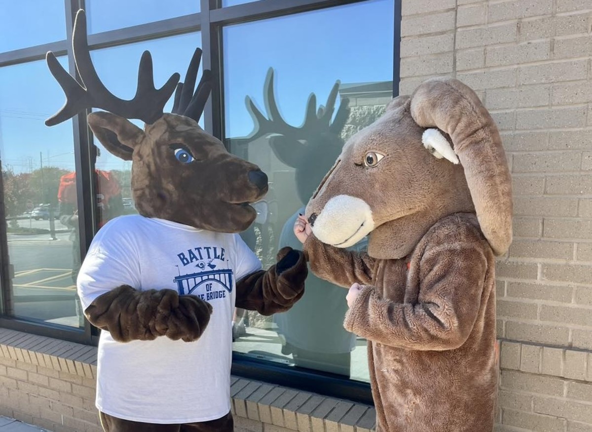 Vote: Which is the best high school mascot in North Carolina? - Sports ...