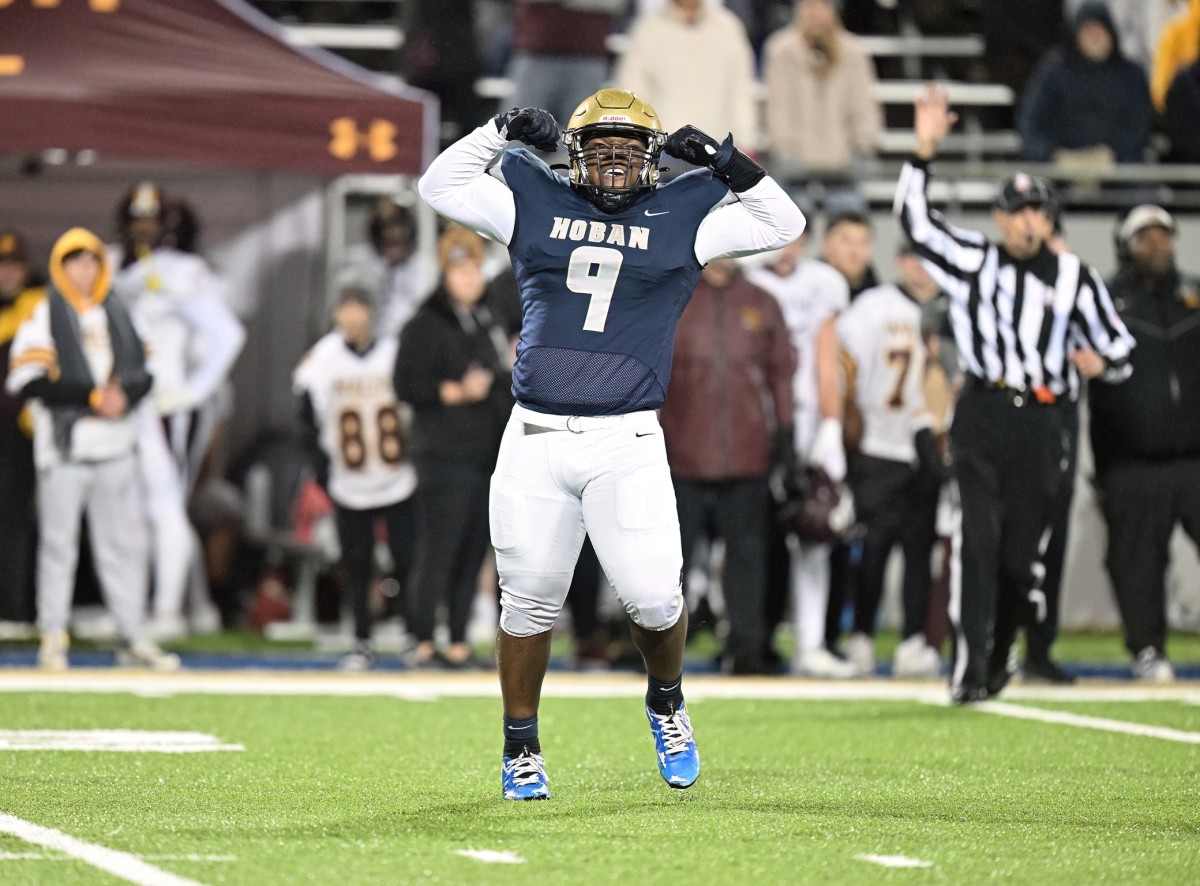 Ohio high school football playoffs 2023: Division II brackets, matchups ...