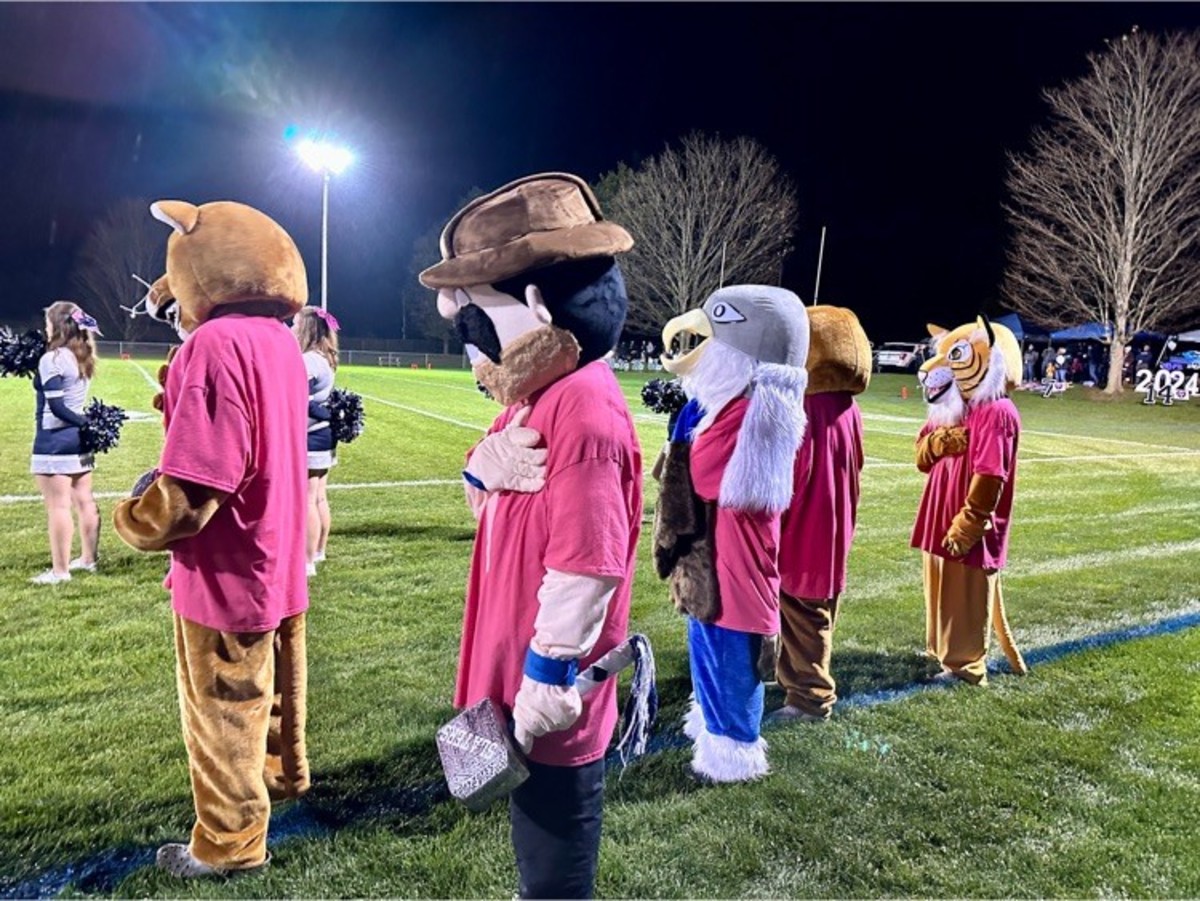 Vote: Which is the best high school mascot in Vermont? - Sports ...