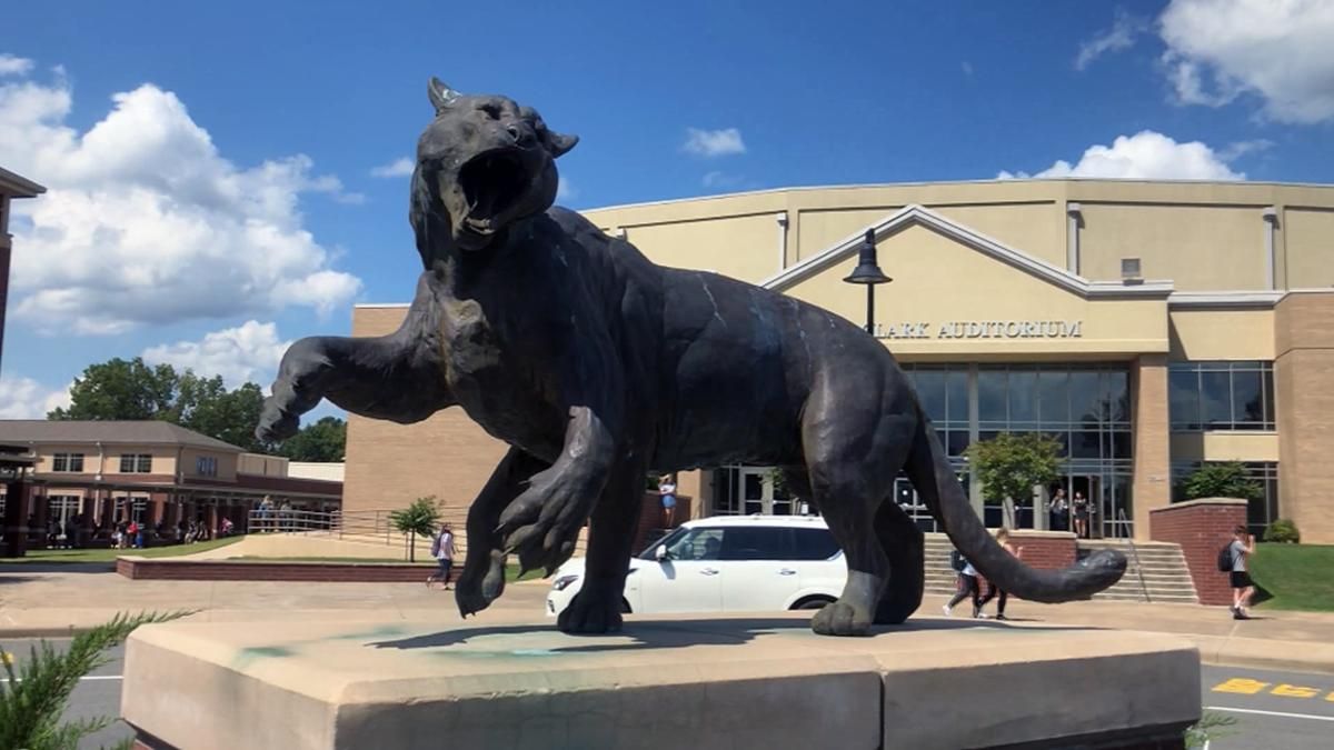 Conway Wampus Cats voted Arkansas' best high school nickname, mascot ...