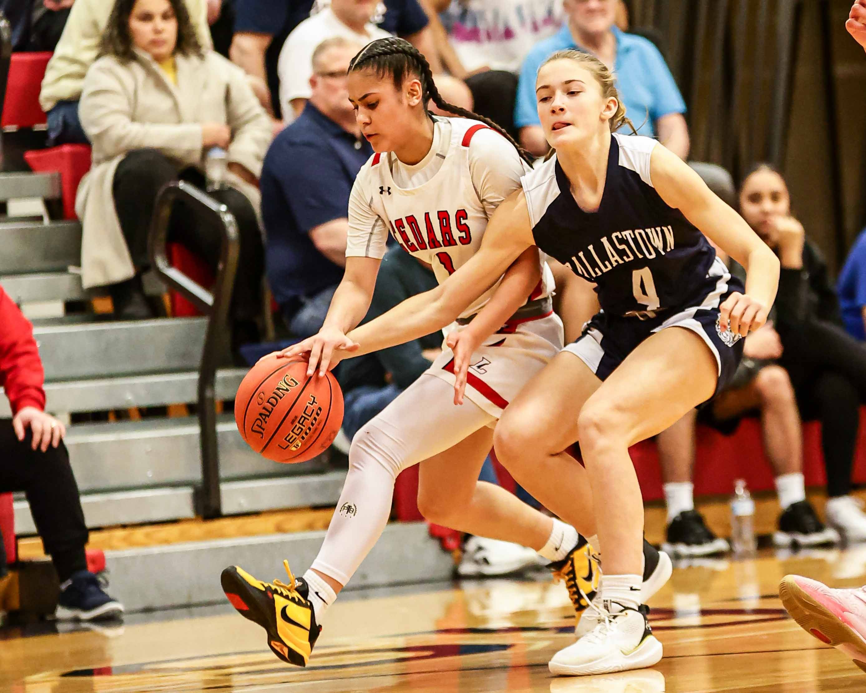 Pennsylvania high school girls basketball: Meet the state’s best point ...