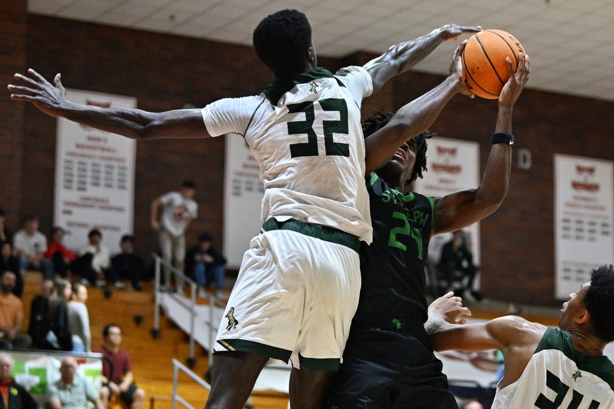 Drake Powell, Tounde Yessoufou treat Oregon to rare matchup between 5 ...